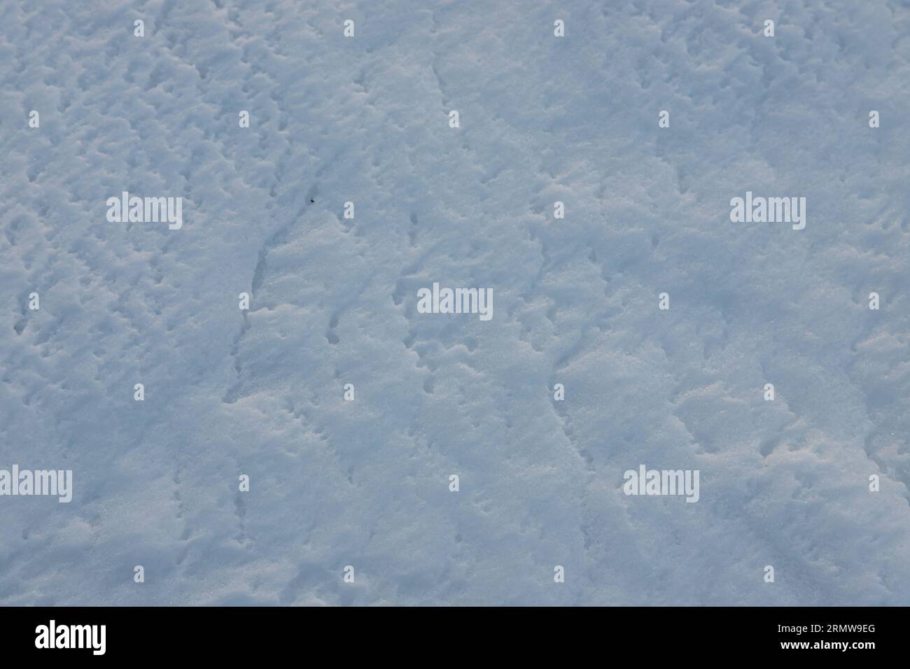 Beautiful winter background with snowy ground. Natural snow texture ...