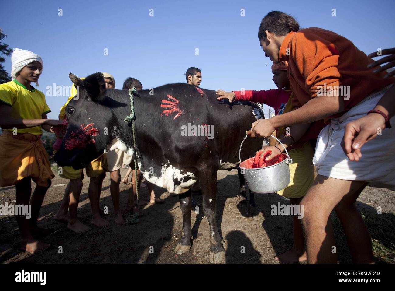 Bestgrass hi-res stock photography and images - Alamy