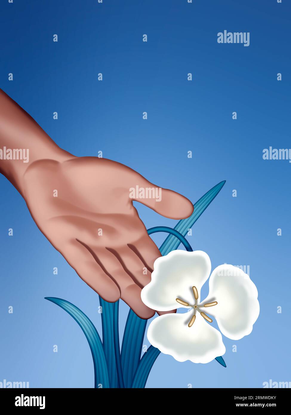 Image series flower hi-res stock photography and images - Alamy
