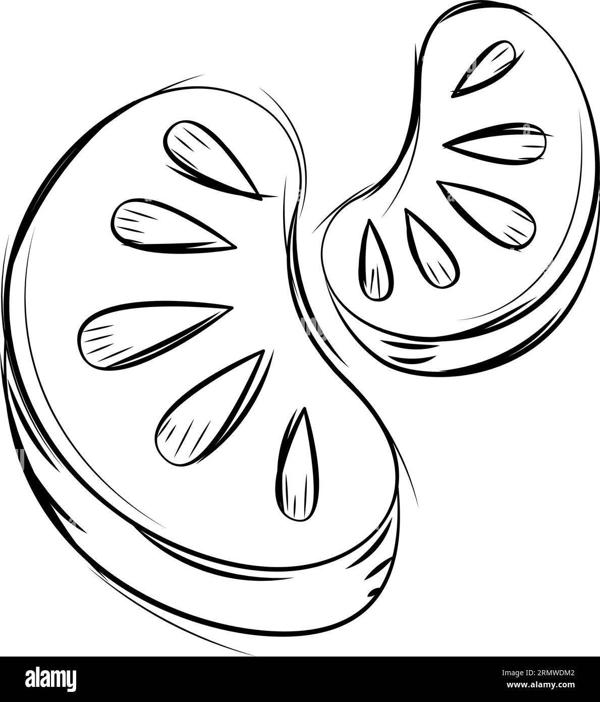 Isolated sketch of a pair of bean candies icon Vector Stock Vector ...