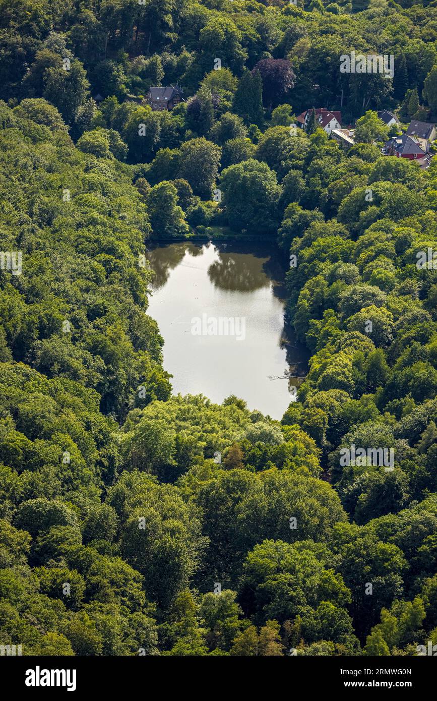 Hammer pond in hohenstein forest area hi-res stock photography and ...