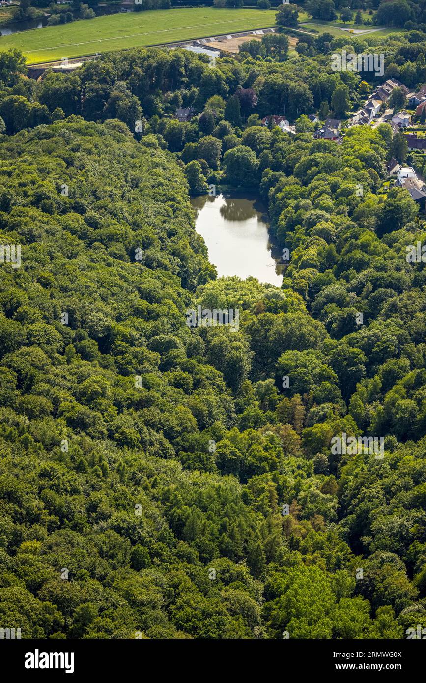 Hammer pond in hohenstein forest area hi-res stock photography and ...