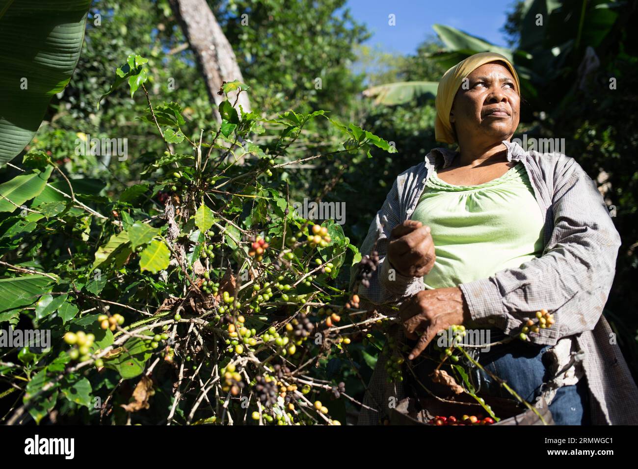 Valdesia hi-res stock photography and images - Alamy