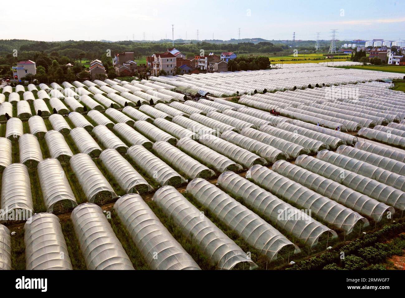 China zhejiang gdp growth hi-res stock photography and images - Alamy