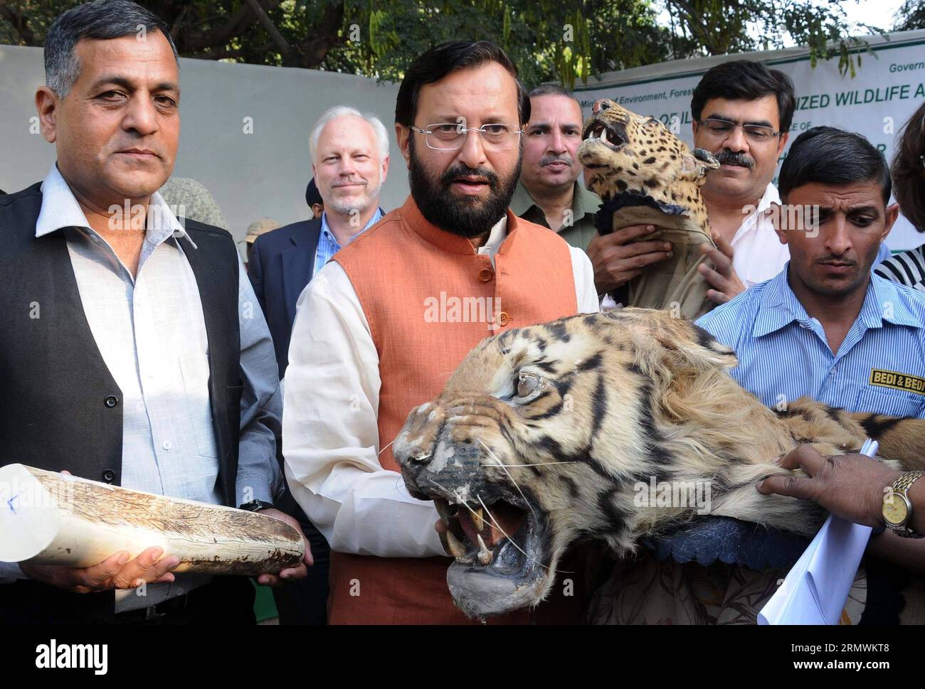 Tiger skins hi-res stock photography and images - Alamy