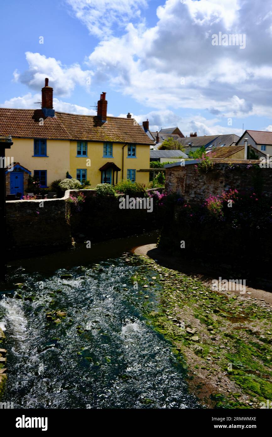 Watchet historic coastal harbour in coastal Somerset Stock Photo - Alamy