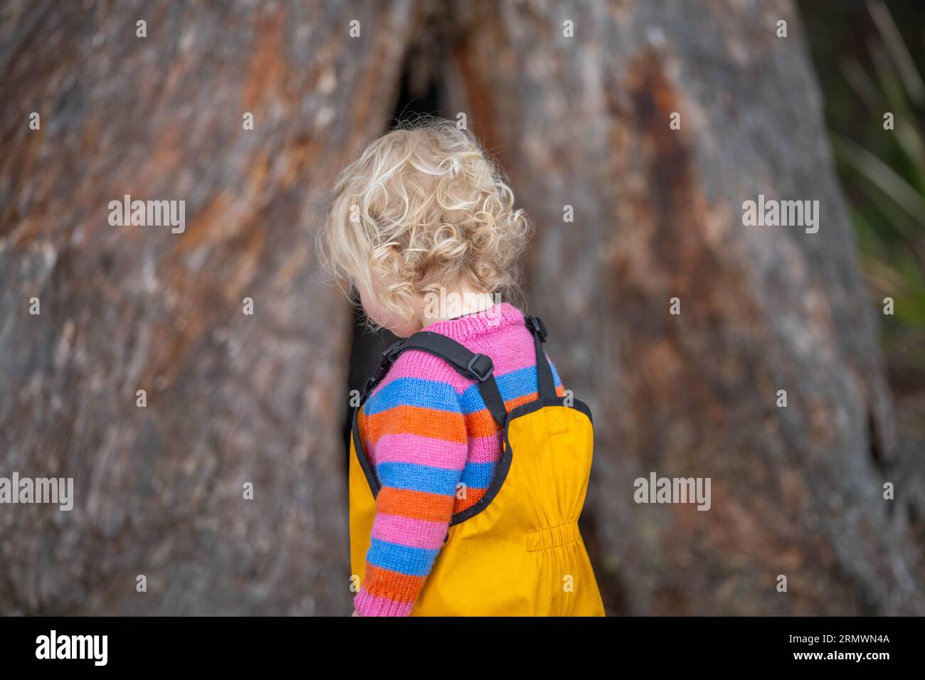 cute toddler in the forest exploring the environment Stock Photo - Alamy