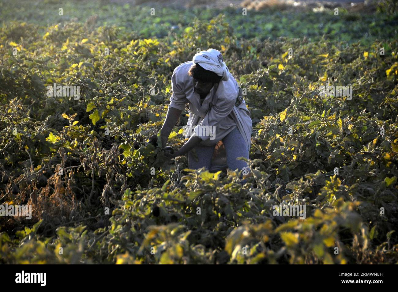 Jemenitischen hi-res stock photography and images - Alamy