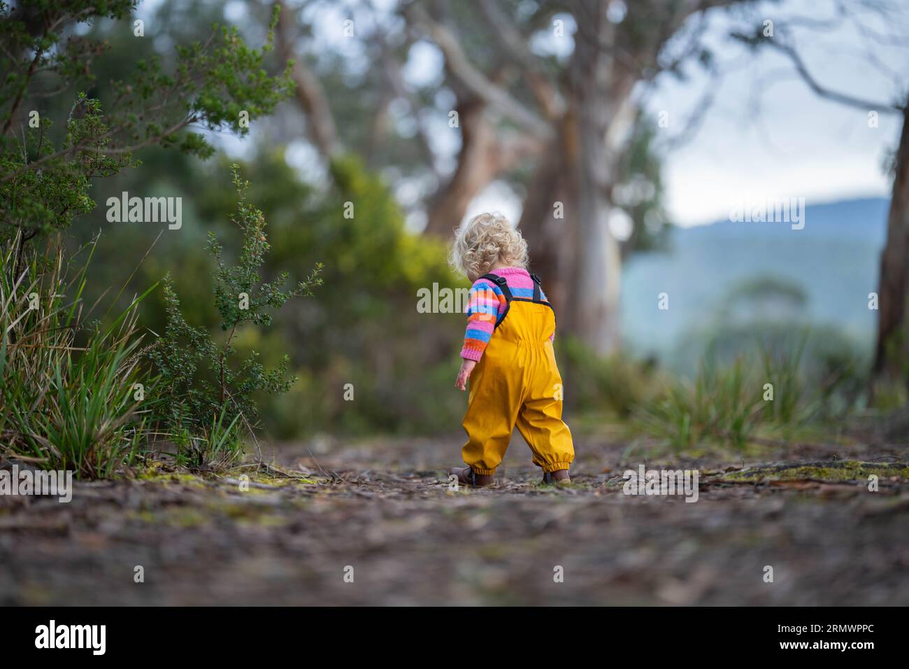 kid playing in the wild in australia Stock Photo - Alamy