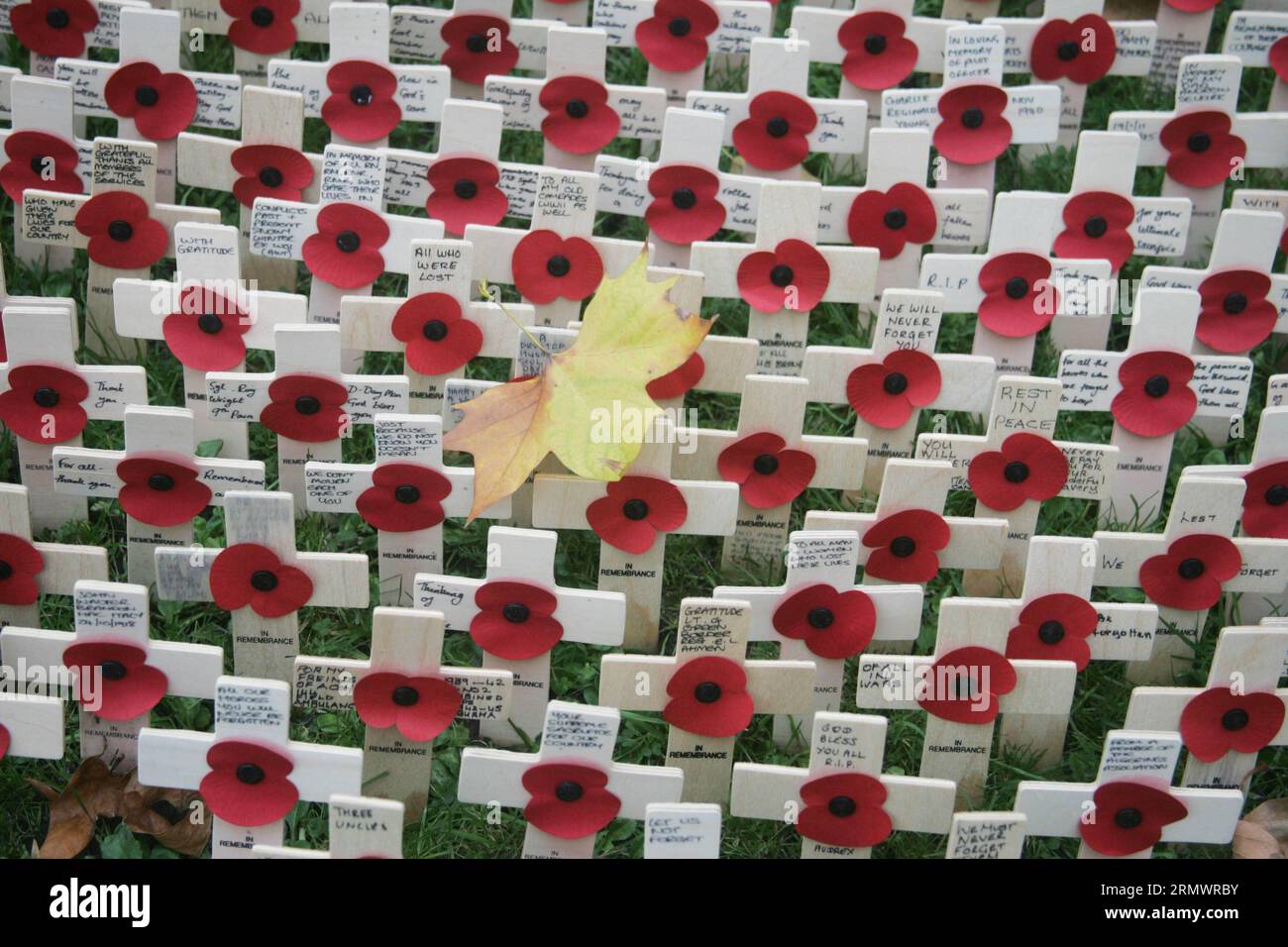 (141109) -- LONDON, A leaf is seen on the top of crosses at the ...