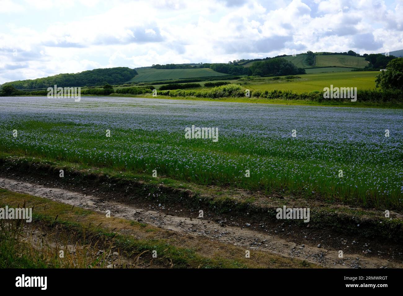 Quantoxhead and the village of Watchet in coastal Somerset Stock Photo ...