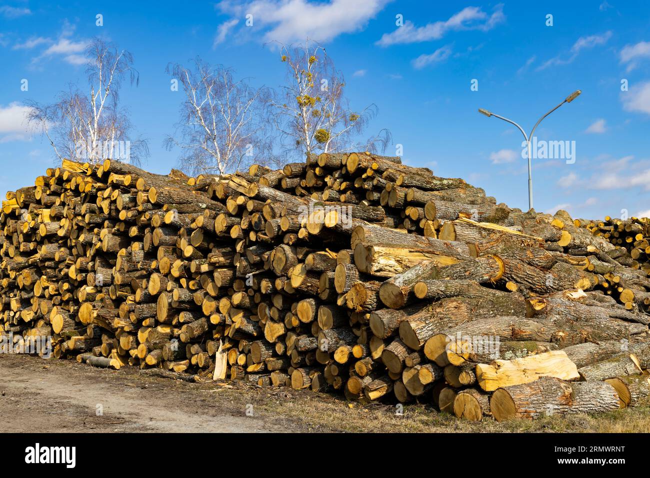 wooden logs on the open air Stock Photo - Alamy