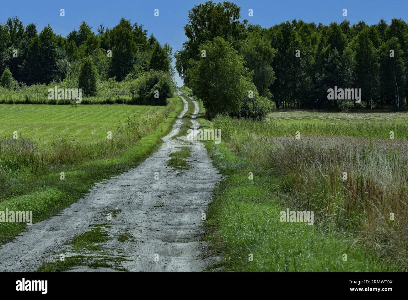 Sentier de champ hi-res stock photography and images - Alamy