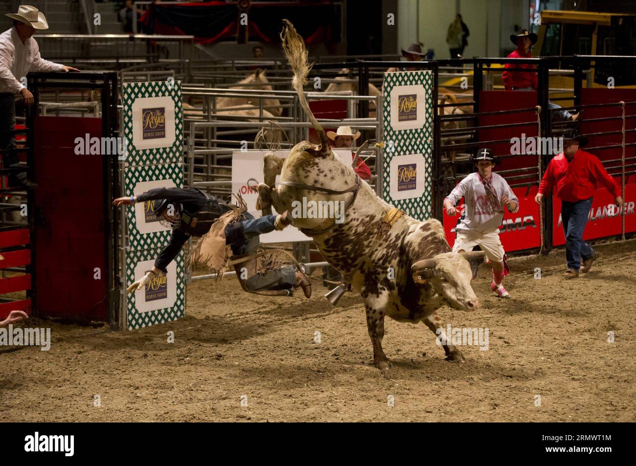 Rodeosport hi-res stock photography and images - Alamy