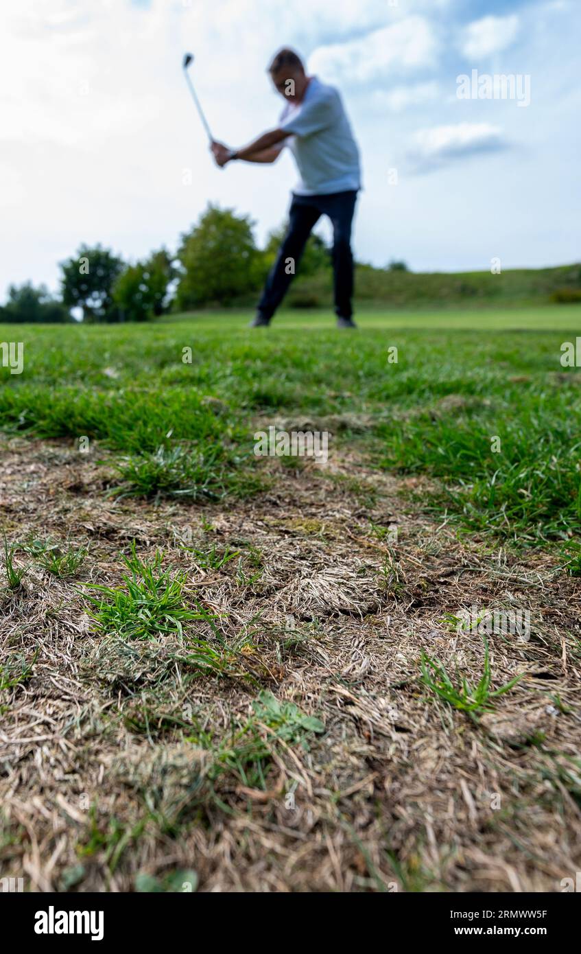 PRODUCTION - 24 August 2023, Lower Saxony, Adendorf: Dried up patches ...