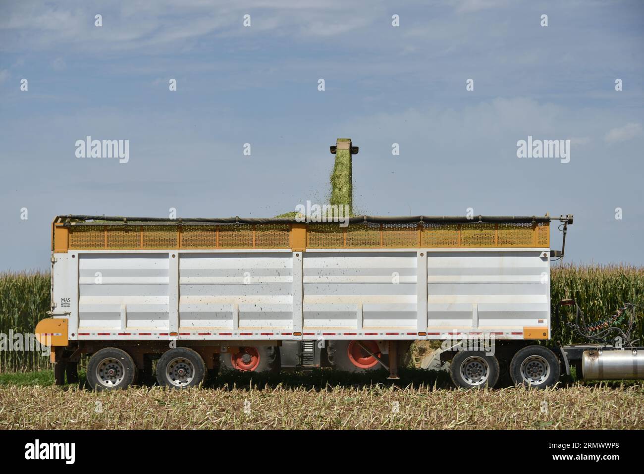 Tractor silage corn hi-res stock photography and images - Alamy
