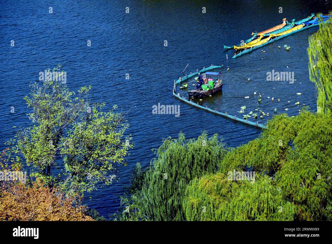 (141113) -- BEIJING, Nov. 13, 2014 -- Photo taken on Nov. 13, 2014 ...