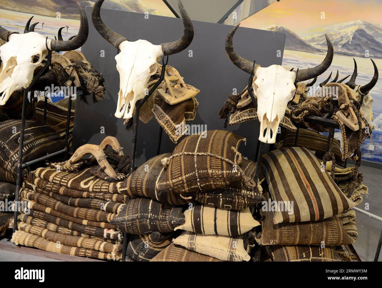 Yak themed hi-res stock photography and images - Alamy