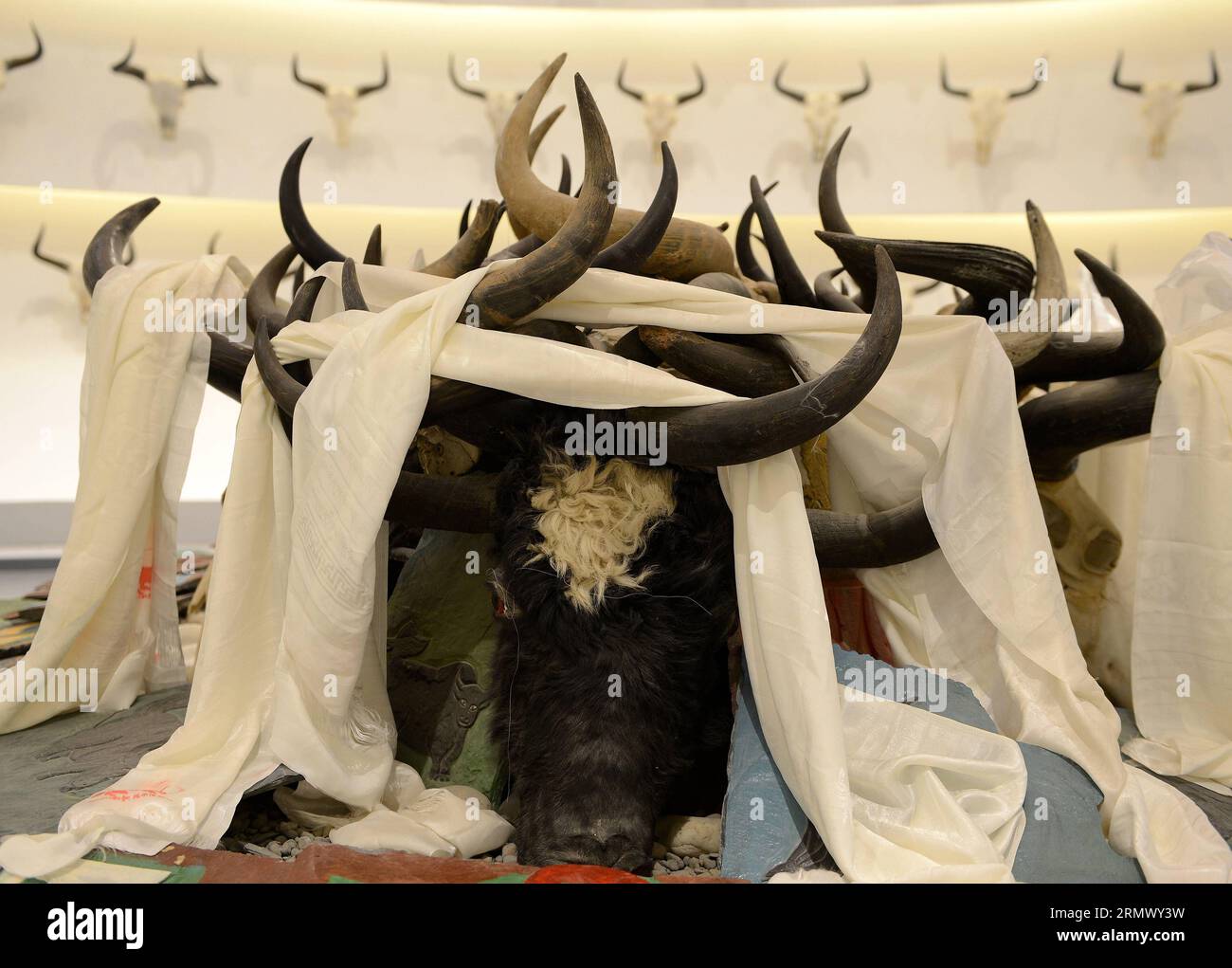 (141115) -- LHASA, Nov. 15, 2014 -- Photo taken on Nov. 15, 2014 shows ...