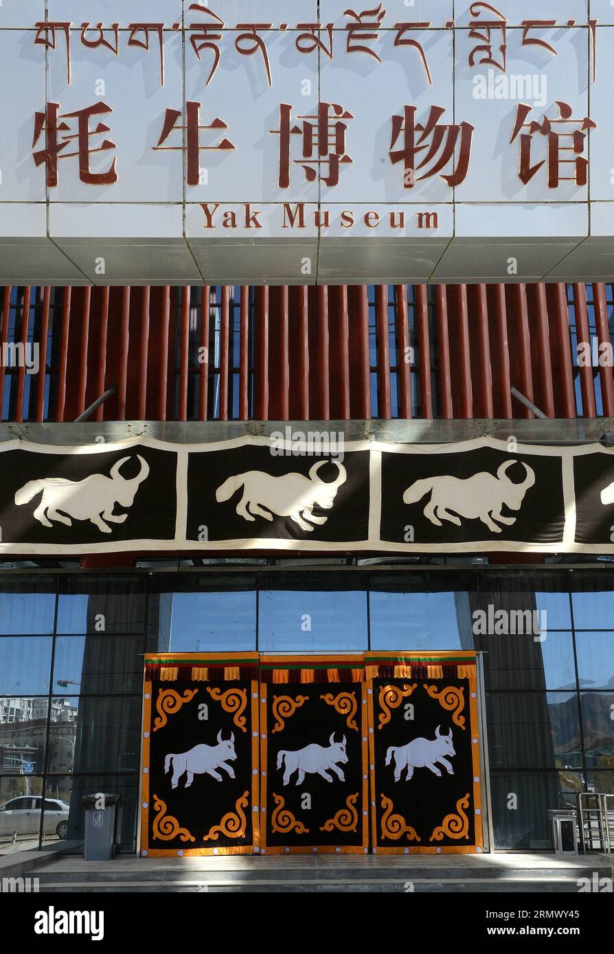 KULTUR Weltweit erstes Yak-Museum in Tibet eroeffnet KULTUR Weltweit ...
