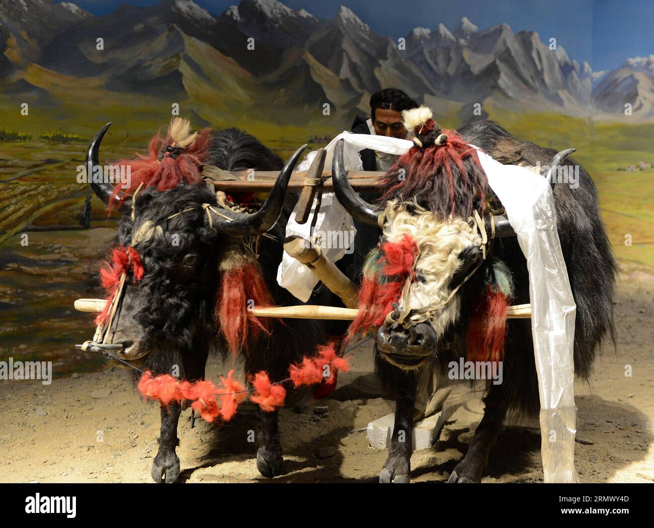 KULTUR Weltweit erstes Yak-Museum in Tibet eroeffnet KULTUR Weltweit ...