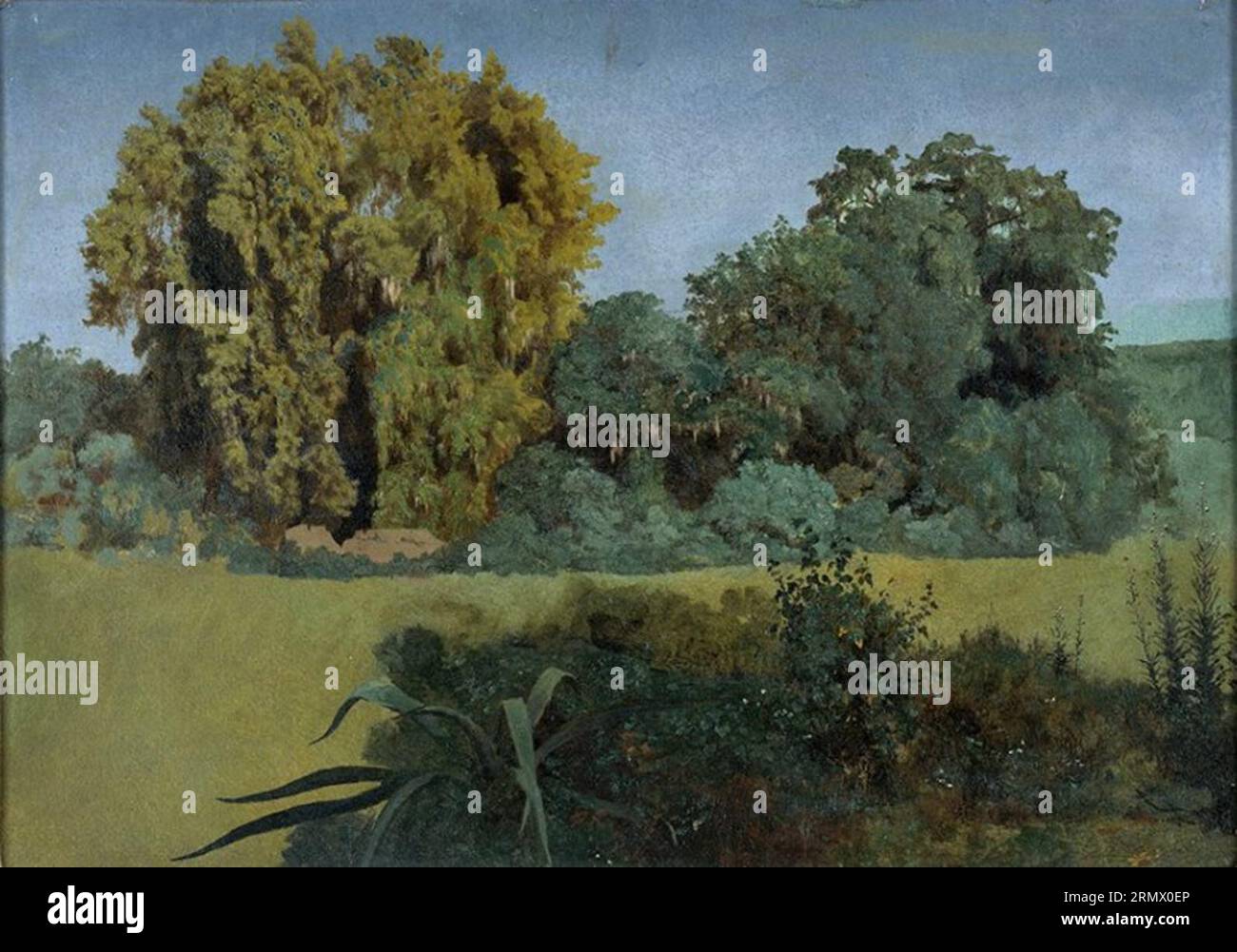 Ahuehuete between circa 1870 and circa 1875 by José María Velasco Gómez ...