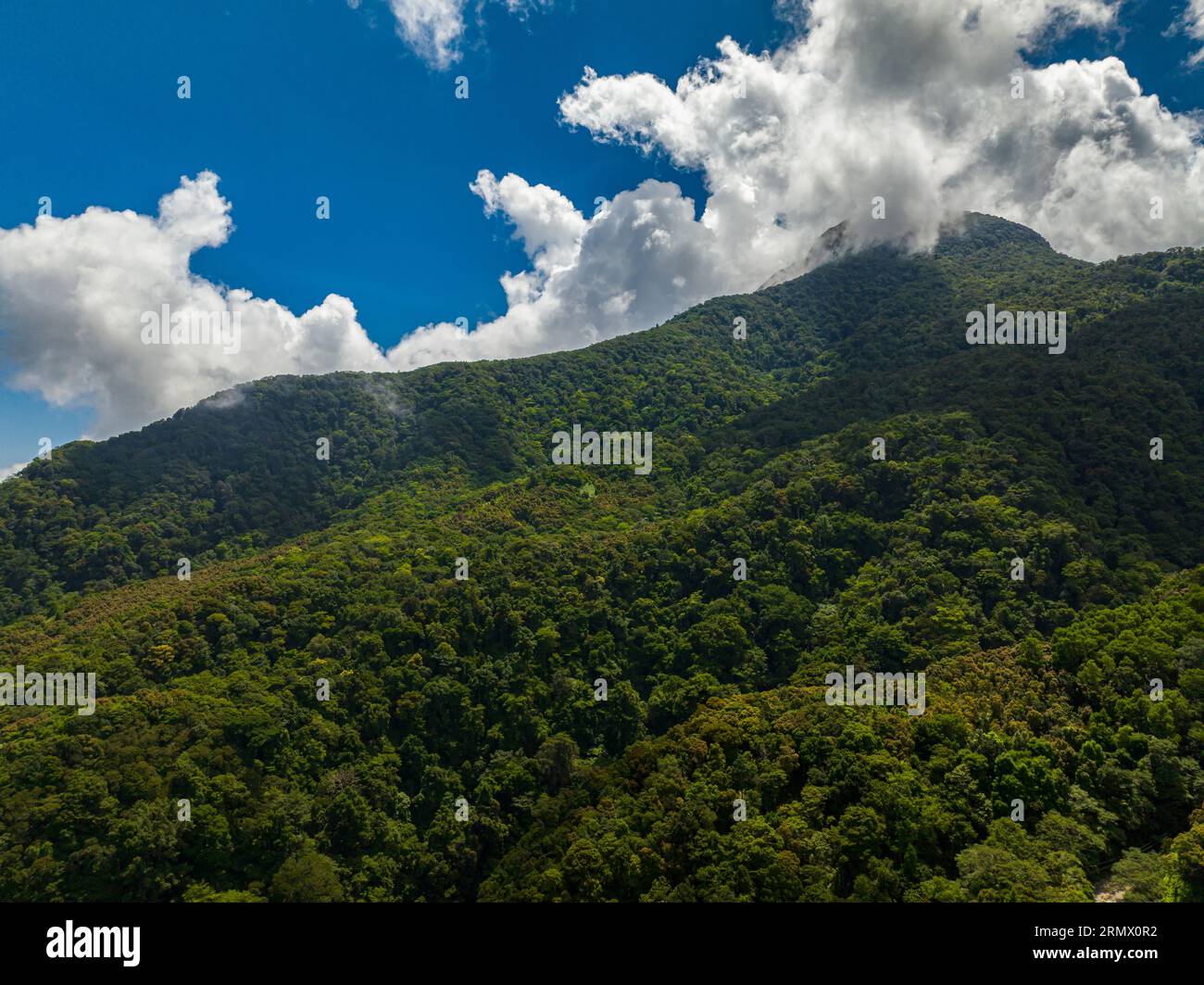 Tropical mountain with forest and jungle. Blue sky and clouds. Camiguin ...