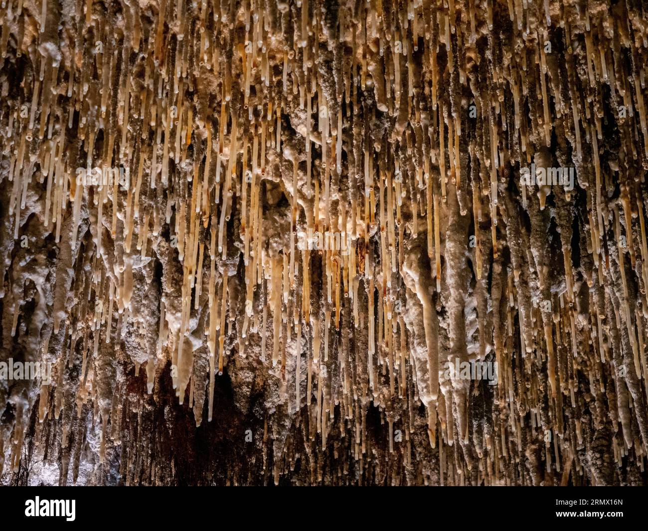 Rich, natural rock formation of Carbonnieres cave located in Lacave ...