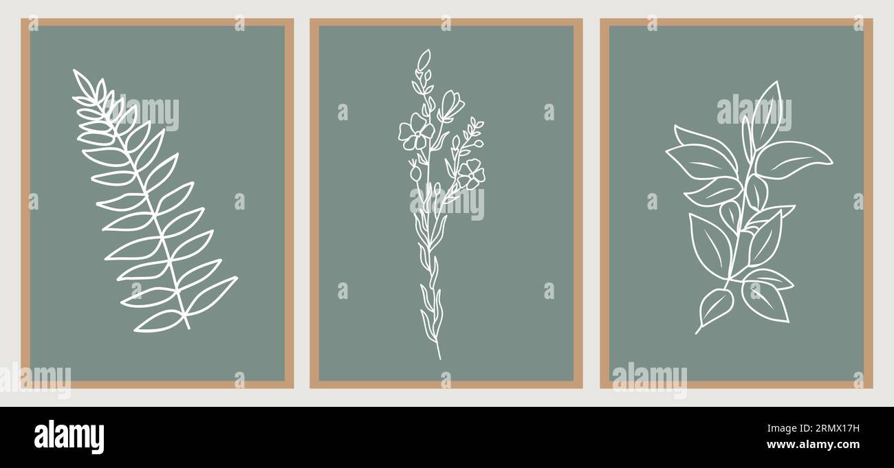 Set of abstract botanical vector line art drawings Stock Vector Image ...