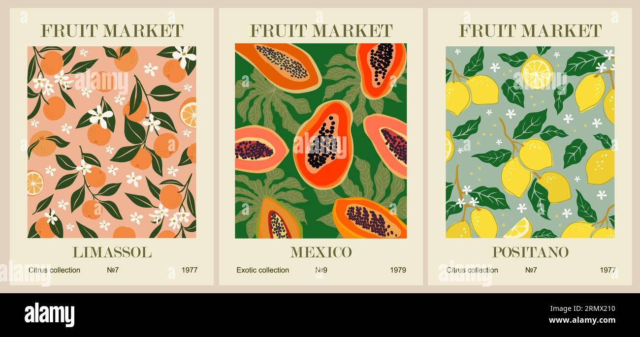 Set of abstract Fruit Market retro posters vector Stock Vector Image ...