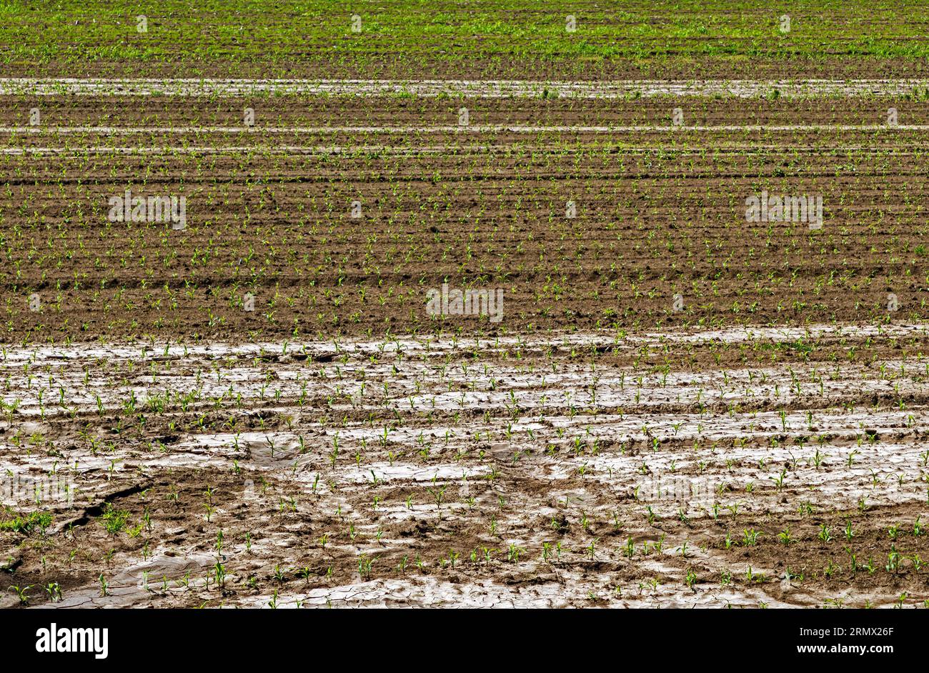 Dry agricultural land hi-res stock photography and images - Alamy