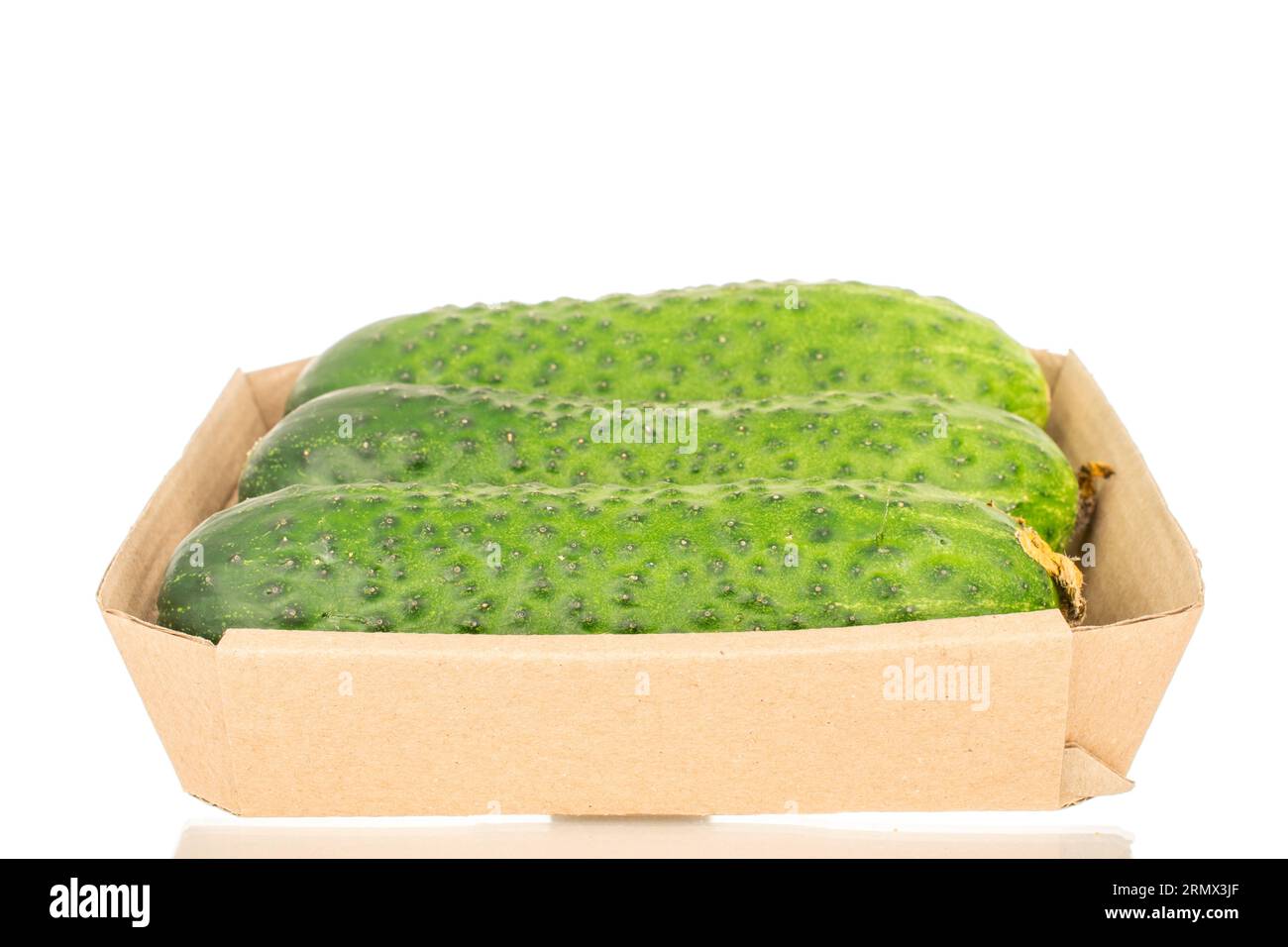 Three fresh green cucumbers on a paper plate, macro, isolated on white ...