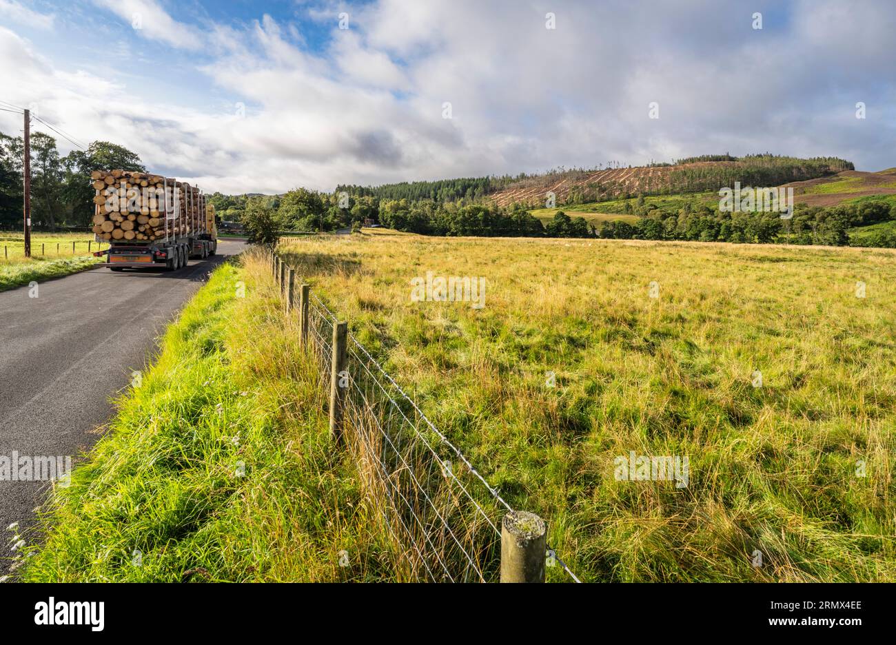 Lorry with trees hi-res stock photography and images - Alamy