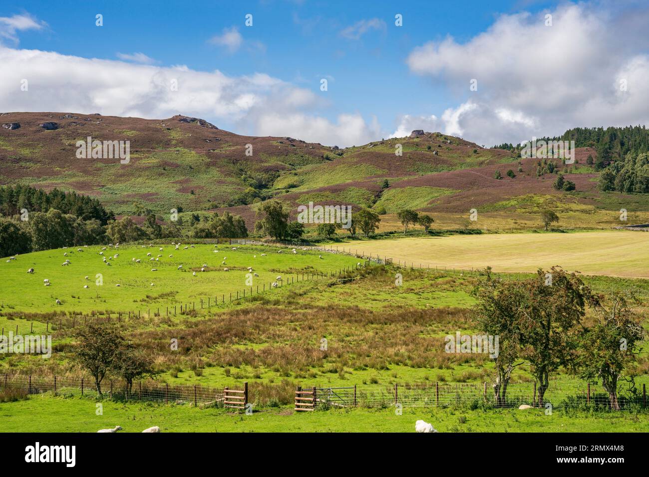 Farmed landscape and Harbottle Hills nature reserve in Northumberland ...