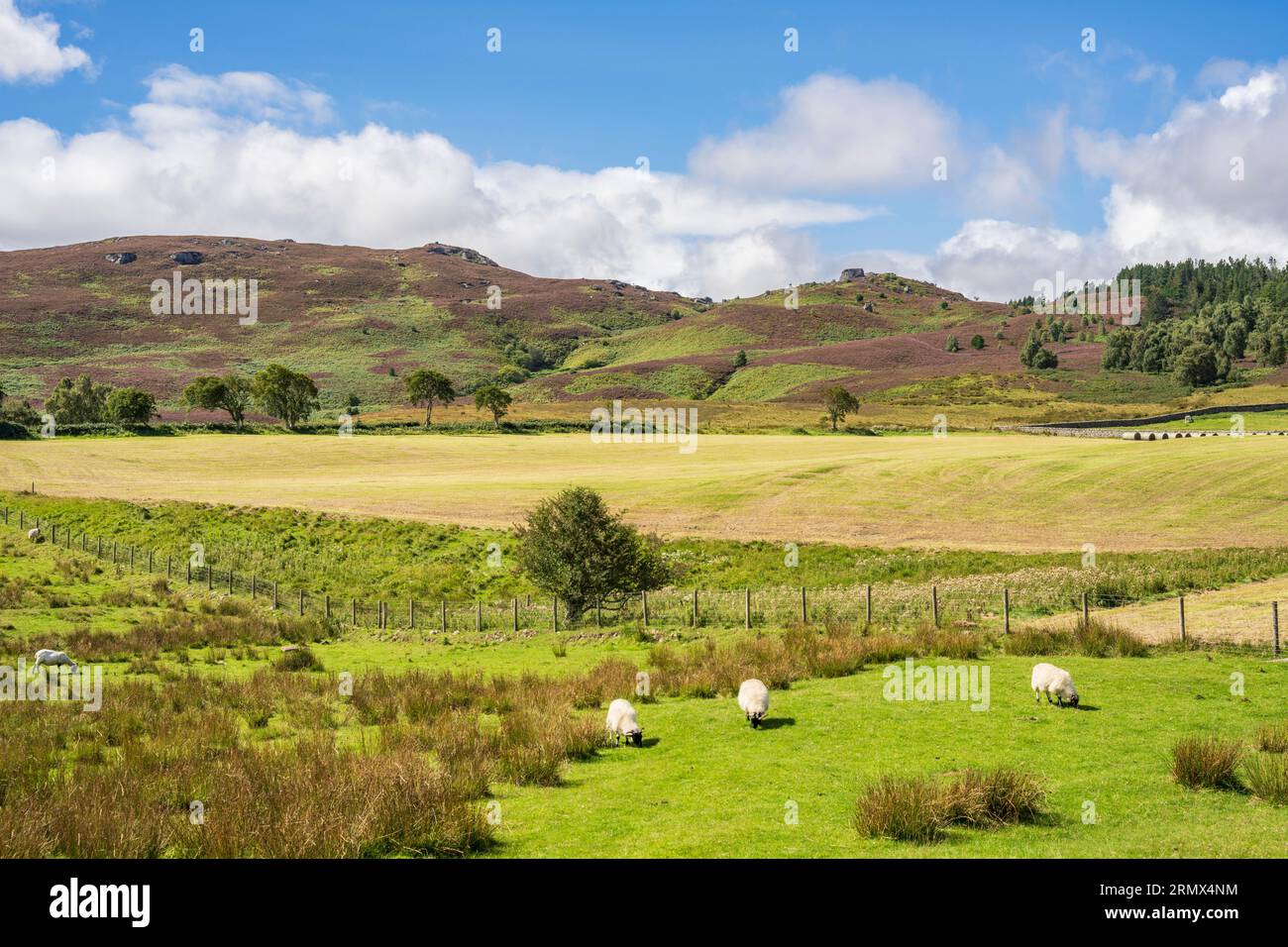Farmed landscape and Harbottle Hills nature reserve in Northumberland ...