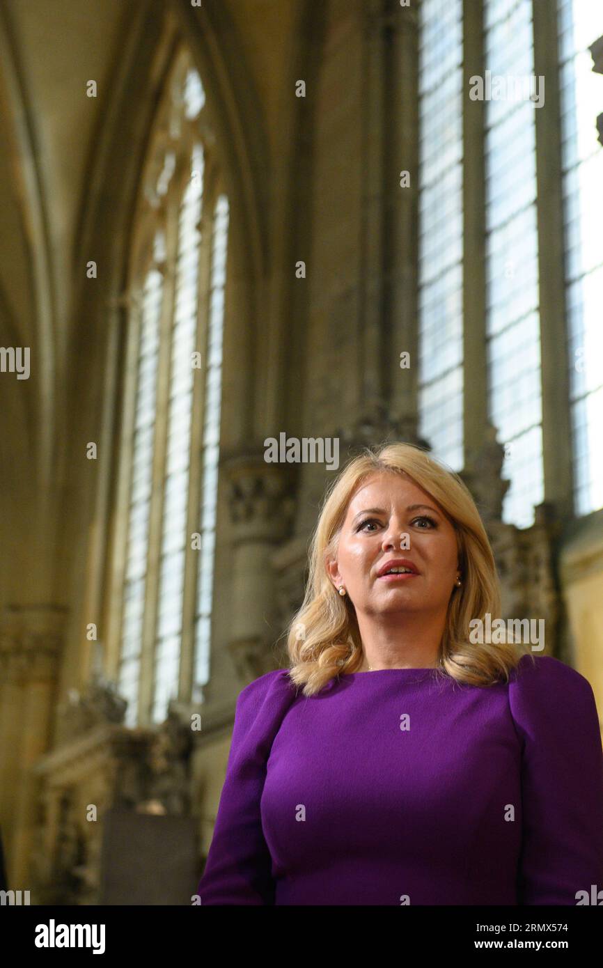 Magdeburg, Germany. 30th Aug, 2023. Slovakian President Zuzana Caputova ...