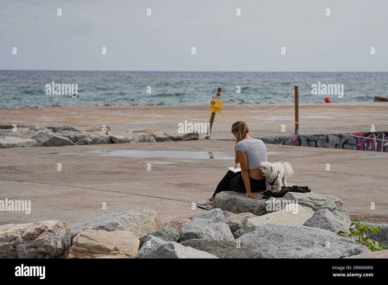 1348 spain hi-res stock photography and images - Alamy