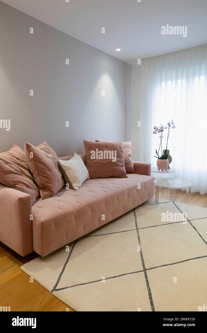 Dark pink sofa with four large cushions and one small one, veige rug ...