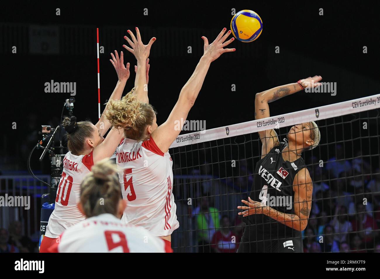 August 30, 2023, Bruksela: 2023.08.30 Bruksela.Siatkowka kobiet ...