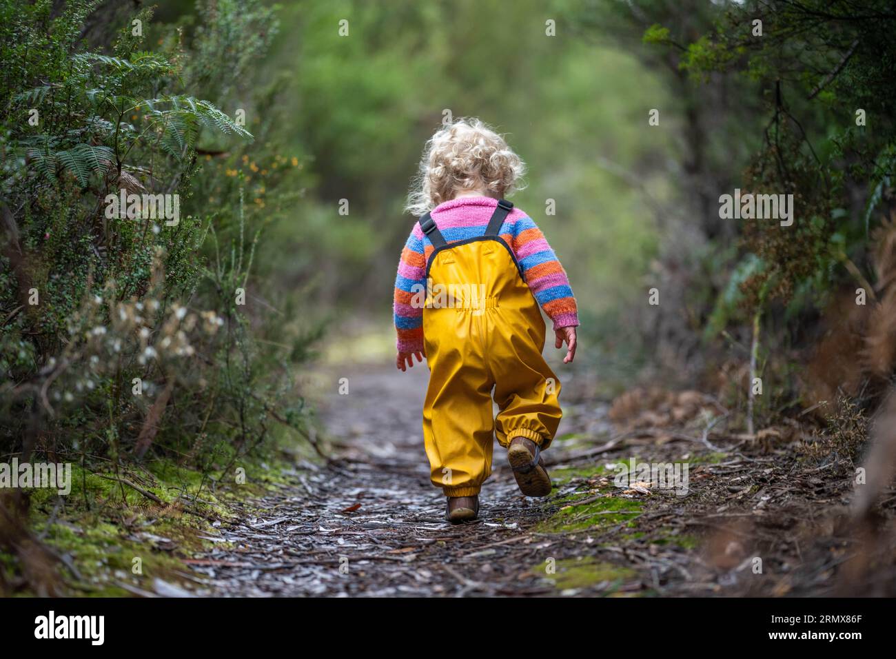 toddler exploring in the forest in the trees in australia in yellow ...
