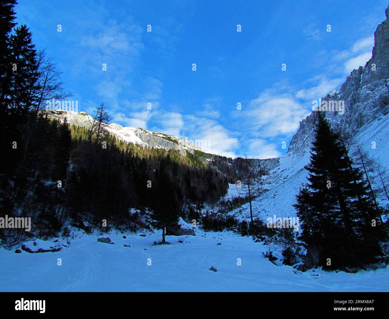 Valley bellow mountain Kosutica in Karavanke mountains in Slovenia ...