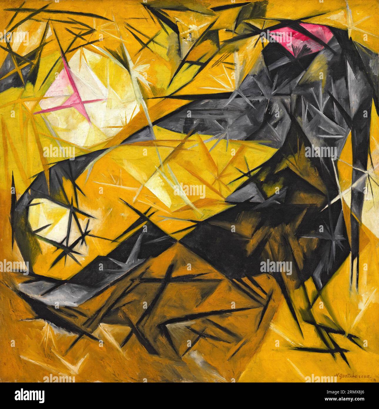 Goncharova cats hi-res stock photography and images - Alamy