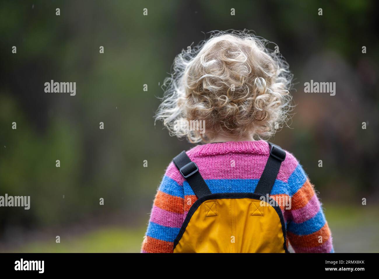 toddler exploring in the forest in the trees in australia in yellow ...