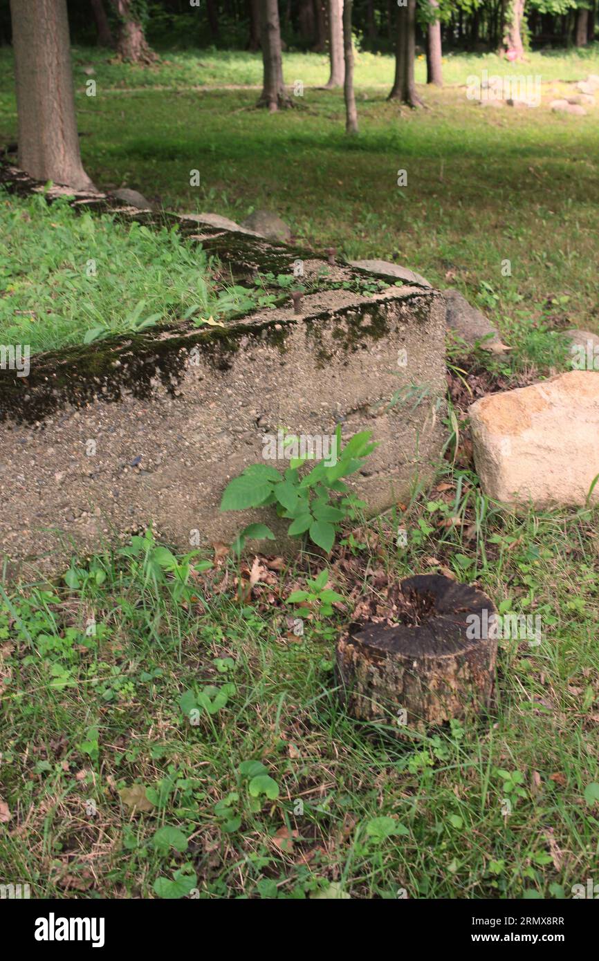 Old abandoned concrete slab foundation of a long gone building and home ...