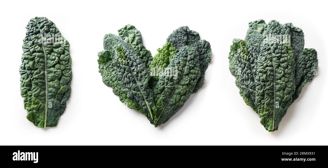 Different shape of kale salad leaves isolated on white background ...