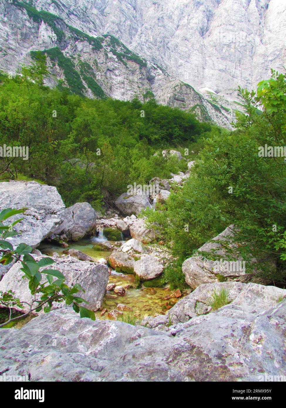 Mountain stream in Vrata valley in Julian alps and Triglav national ...