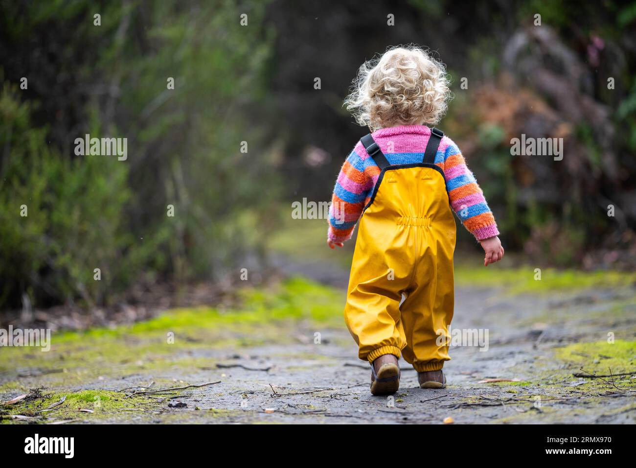 toddler exploring in the forest in the trees in australia in yellow ...