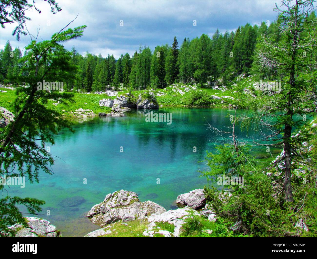 Green colored lake at the Triglav lakes valley with green mountain ...