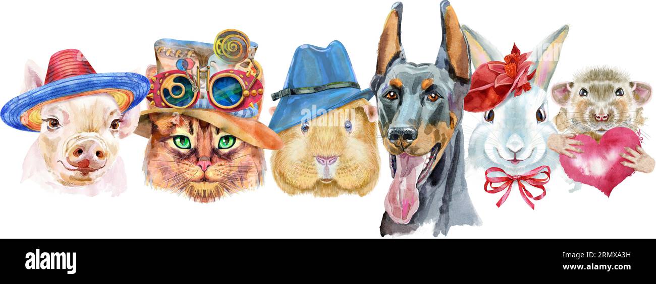 Pets border. Hand painted watercolour drawing, isolate clip art on ...