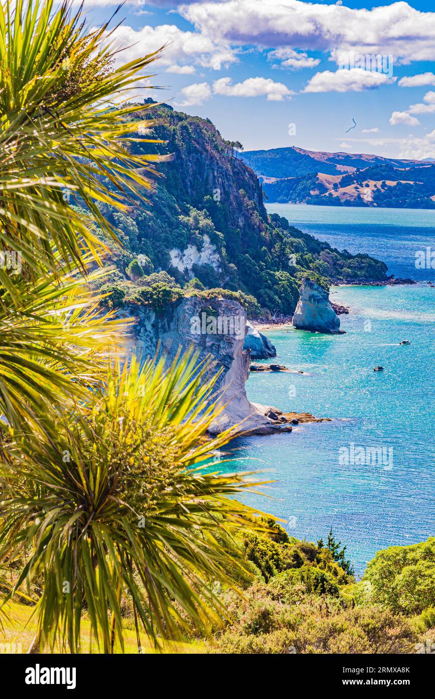 Northern island of new zealand hi-res stock photography and images - Alamy